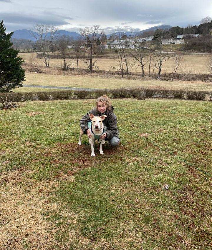 Experienced Veterinarians | Animal Hospital in Weaverville